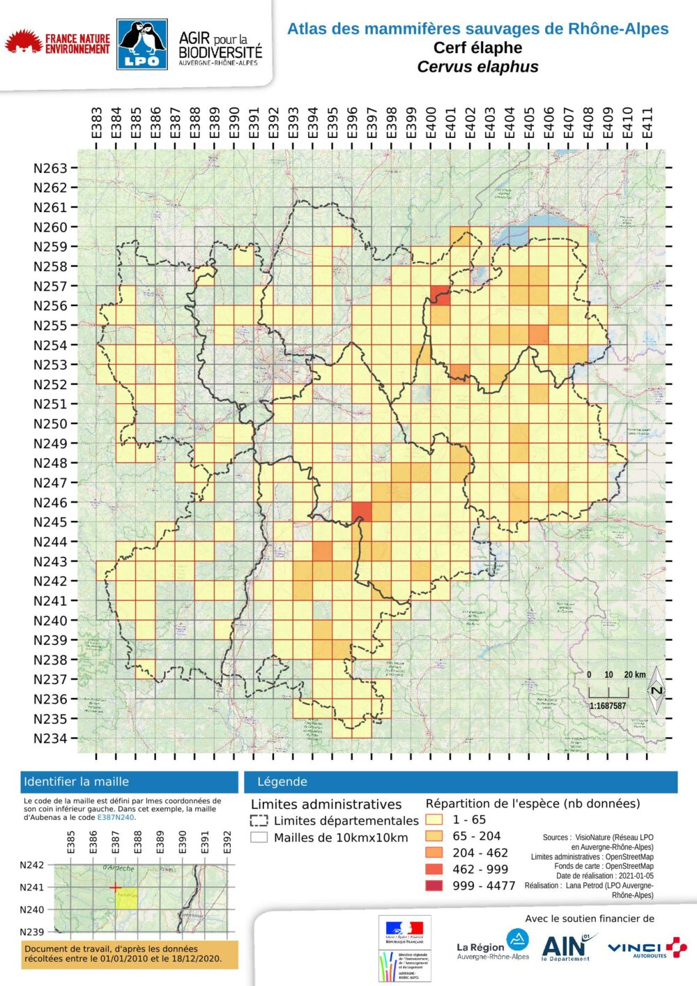 Cerf élaphe - Les mammifères de Rhône-Alpes